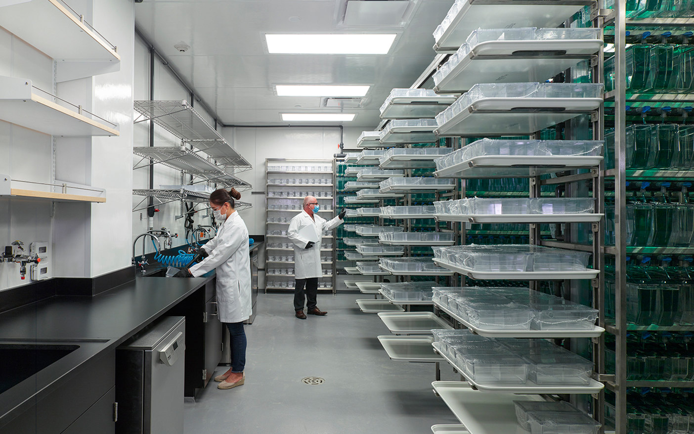 California Institute of Technology - Chen Neuroscience Research ...