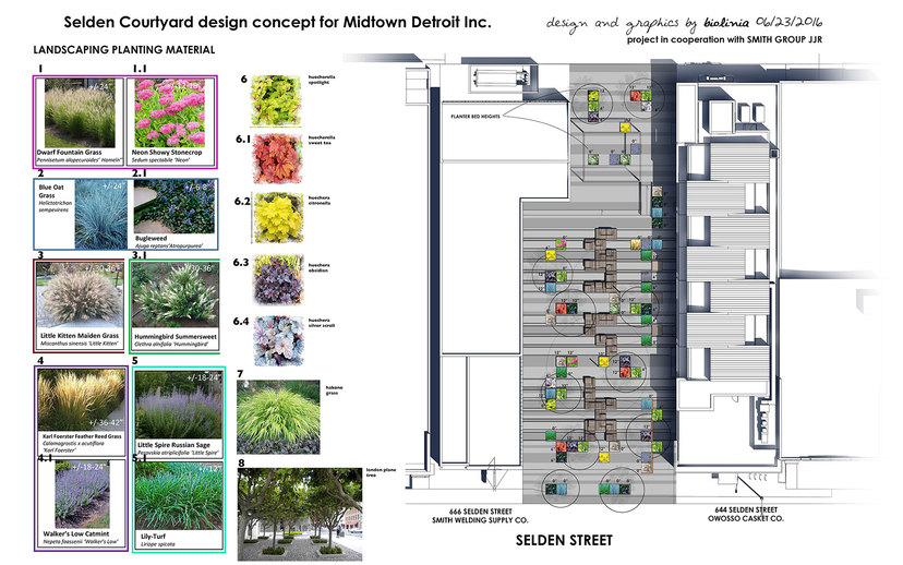 Detroit Selden Courtyard | SmithGroup
