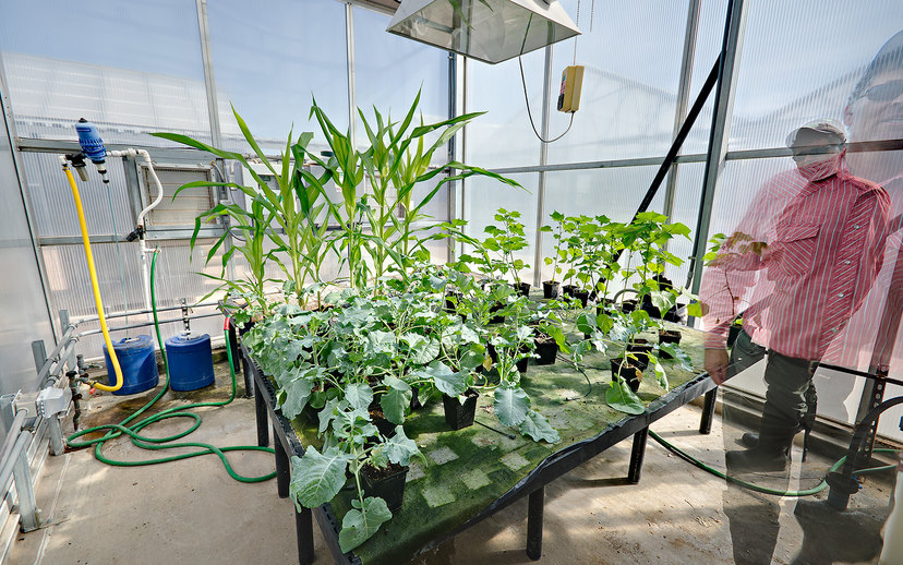 U.S. Arid-Land Agricultural Research Center | SmithGroup