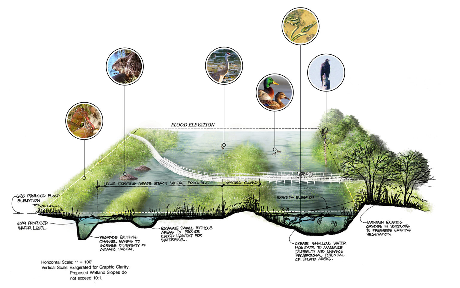 Crosswinds Marsh Interpretive Preserve | SmithGroup