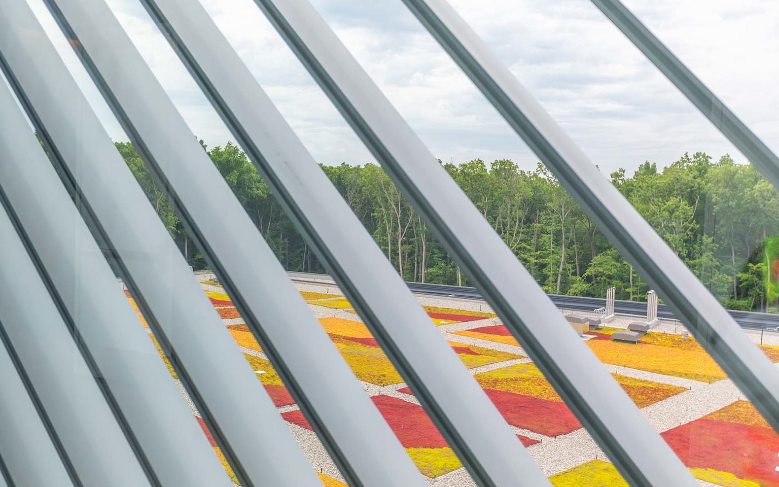 KLA Michigan Campus | SmithGroup