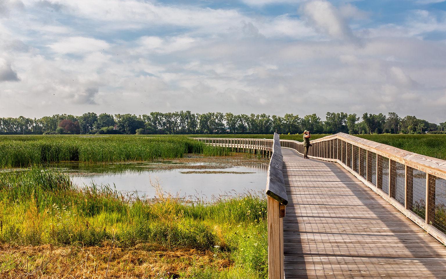 Howard Marsh Restoration | SmithGroup