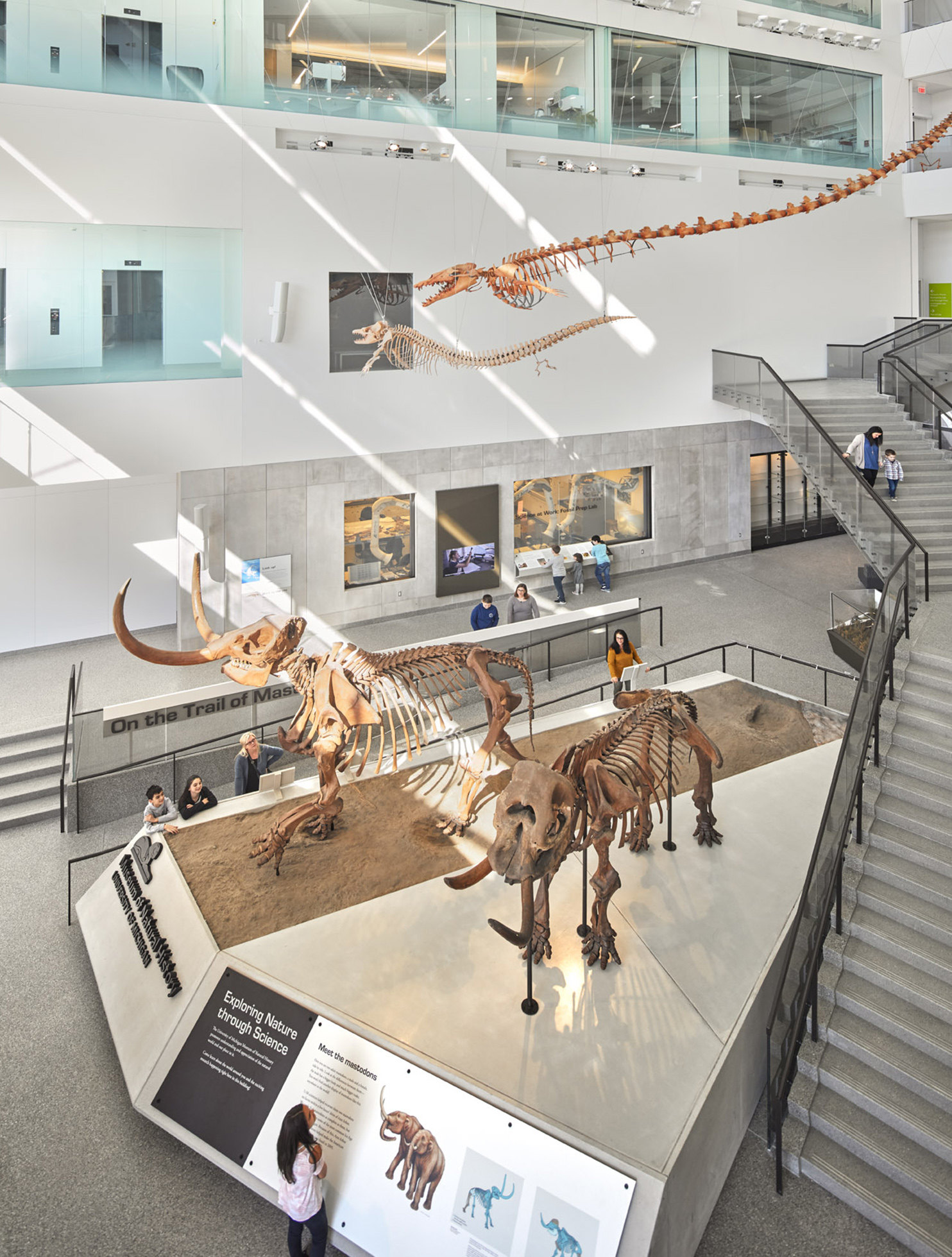 UM Biological Sciences Building and Museum of Natural History