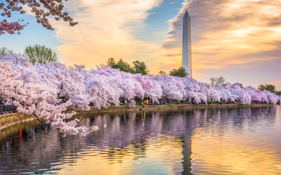 Robert Bull | SmithGroup