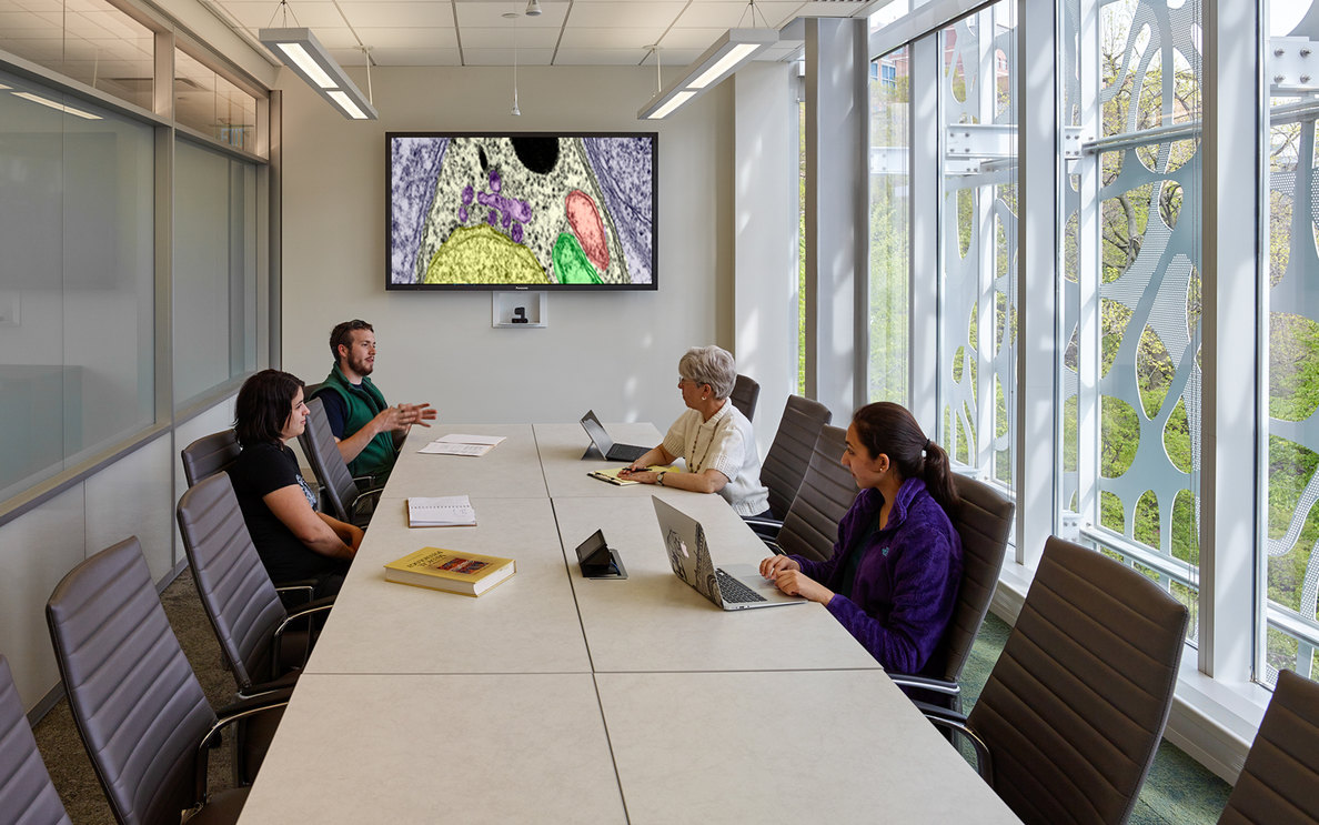 Stephen A. Levin Neural & Behavioral Sciences Building | SmithGroup